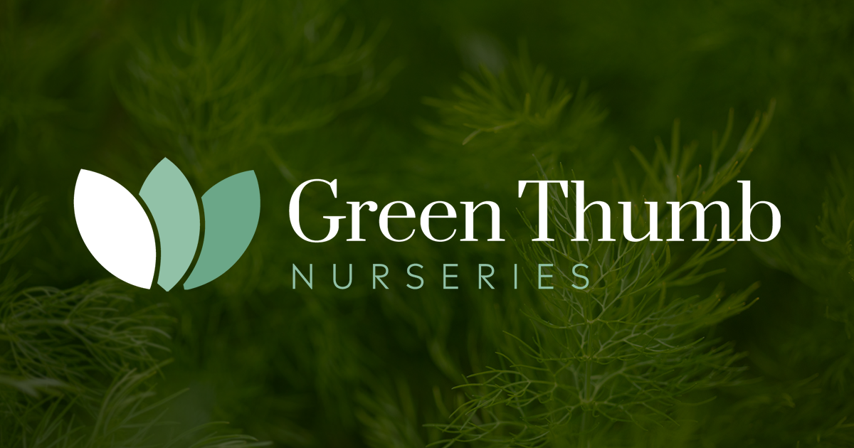 Green Thumb Nurseries