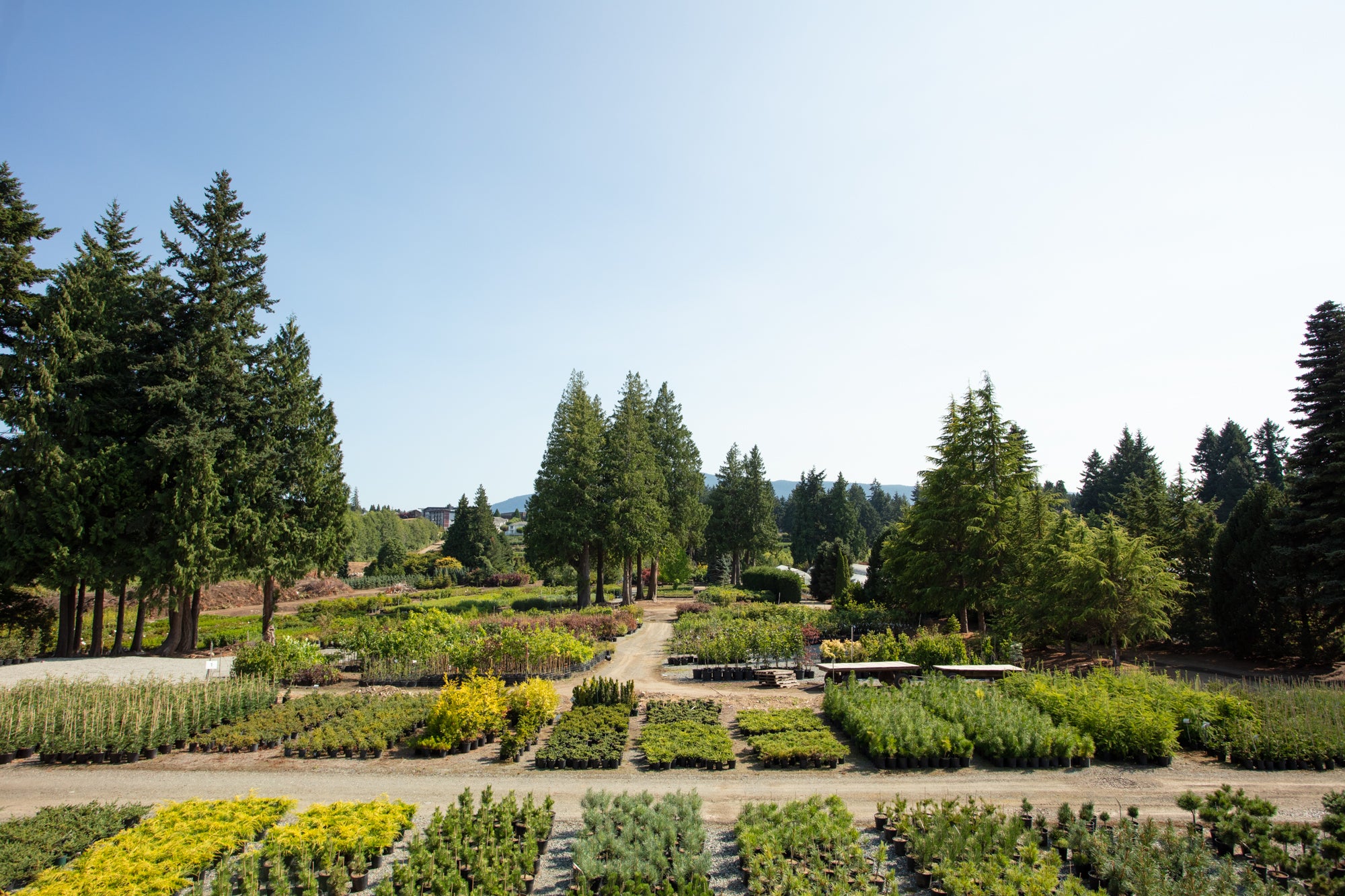 Green Thumb Nurseries